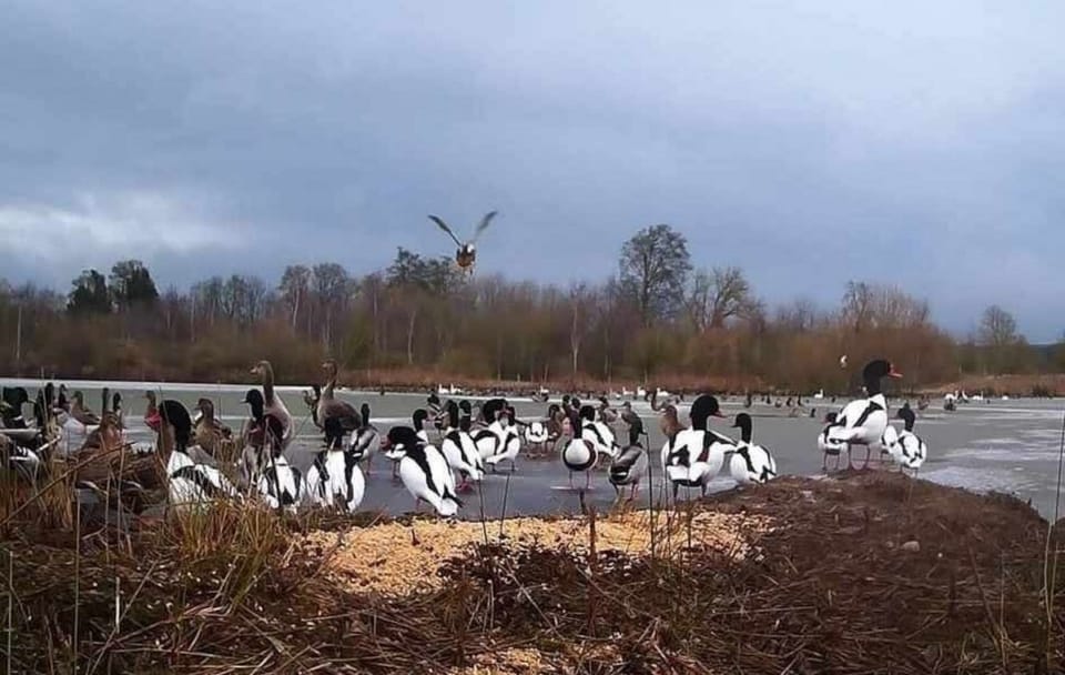 Marfield Wetlands Nature Reserve - Visit Masham