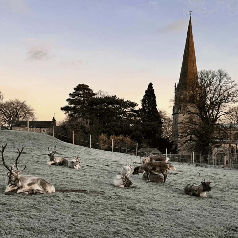 10 Magical places to visit around Mashamshire around Xmas - Visit Masham